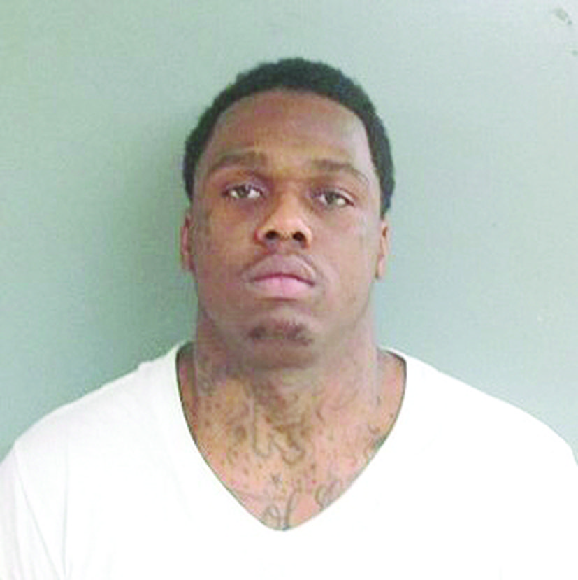 سطو بدافع نبيل! - sadaalwatan